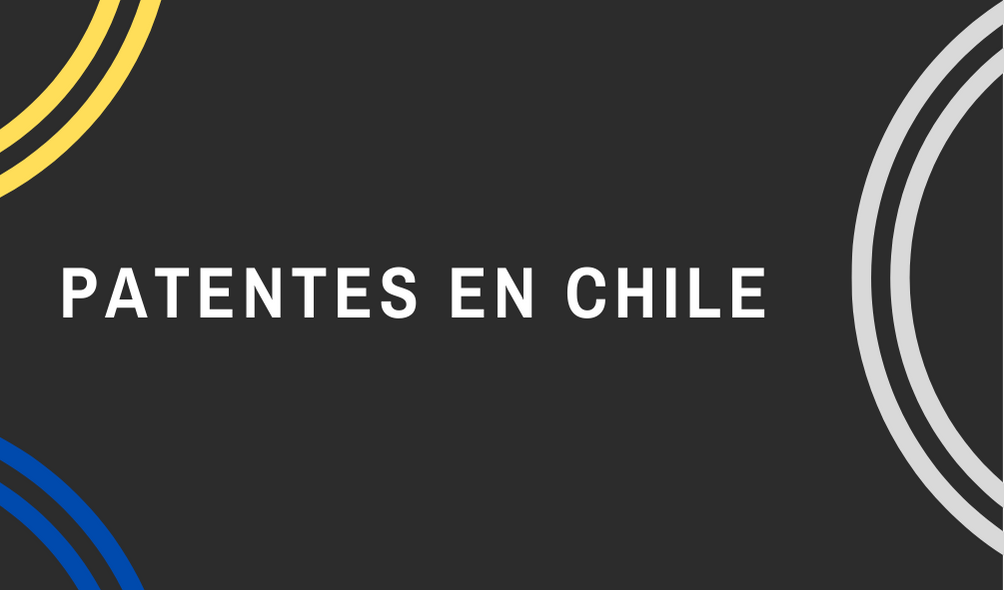 QUÉ VEHÍCULOS DEBEN LLEVAR ESTAS PLACAS PATENTES